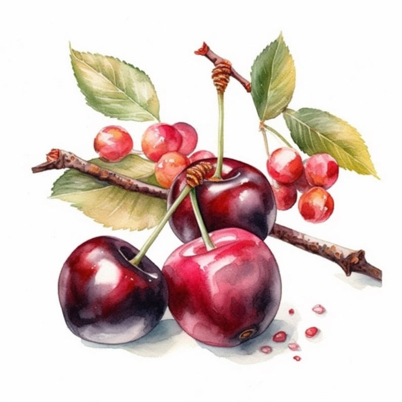 Cherry Watercolor Clipart Clip Art 8 PNG Format Instant Download for ...