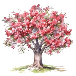 Crabapple Tree Watercolor Clip Art 4 High Quality PNG Transparent ...