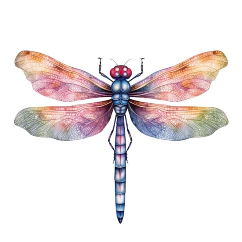 Dragonfly Watercolor Clipart Clip Art 4 PNG Transparent - Etsy