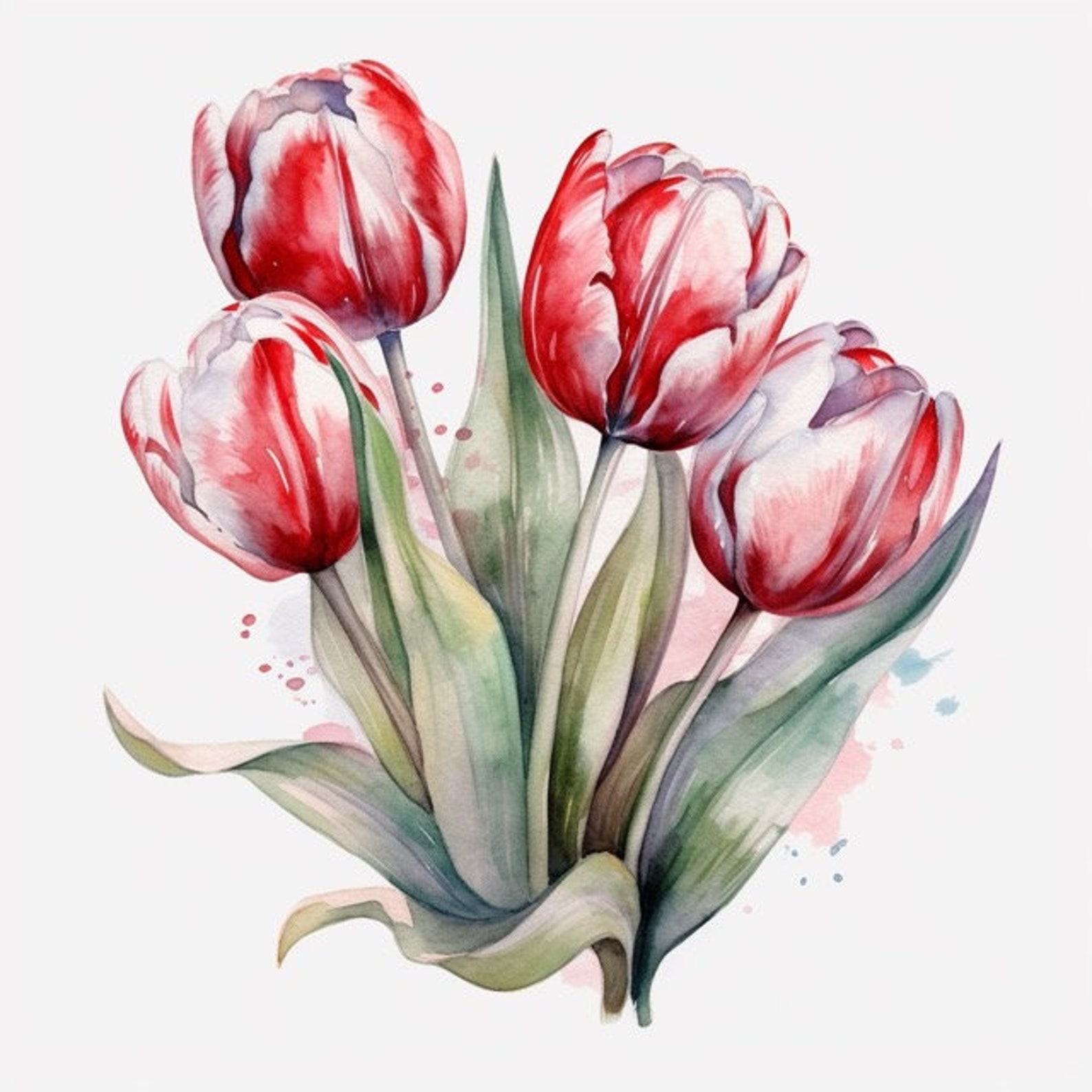 Watercolor Tulips Bouquet Tulip Flower Clipart Clip Art 4 PNG Format ...