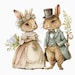 Bunny Rabbit Wedding Bride and Groom Clipart 8 High Quality JPG Digital ...