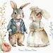 Cute Bunny Rabbit Bride and Groom Wedding Clipart Clip Art 4 PNG ...