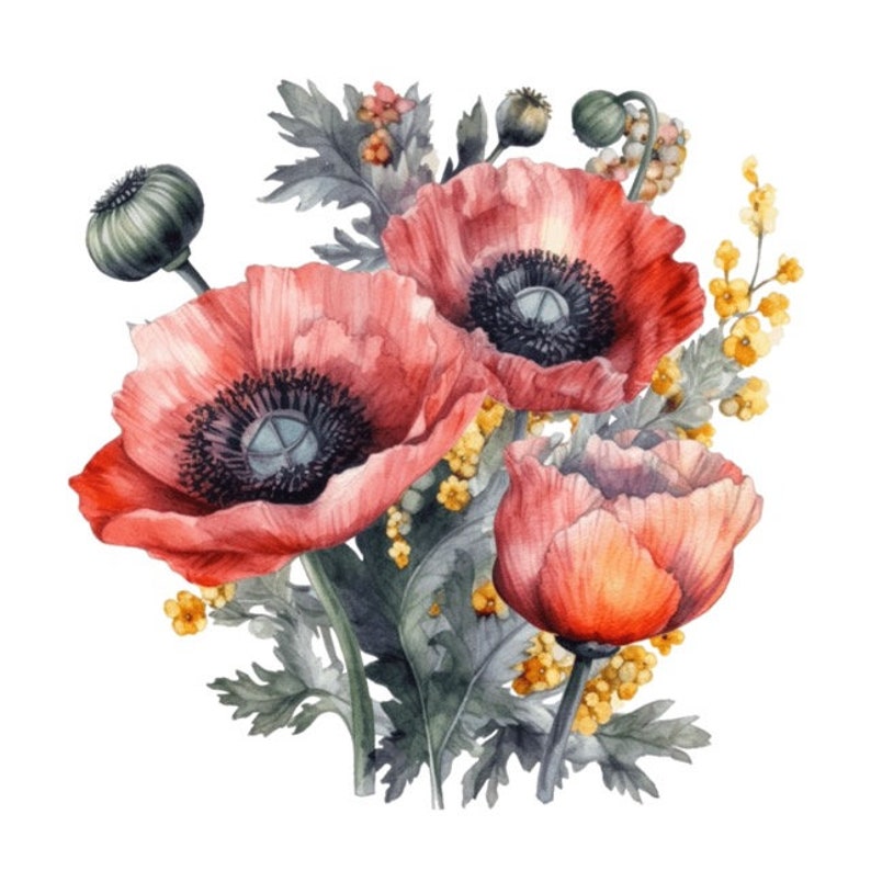 Poppy Seed Flower Floral Bouquet Watercolor Clip Art 4 High Quality PNG ...