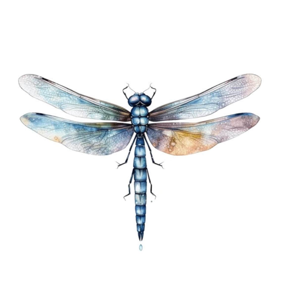Dragonfly Watercolor Clipart Clip Art 4 PNG Transparent - Etsy