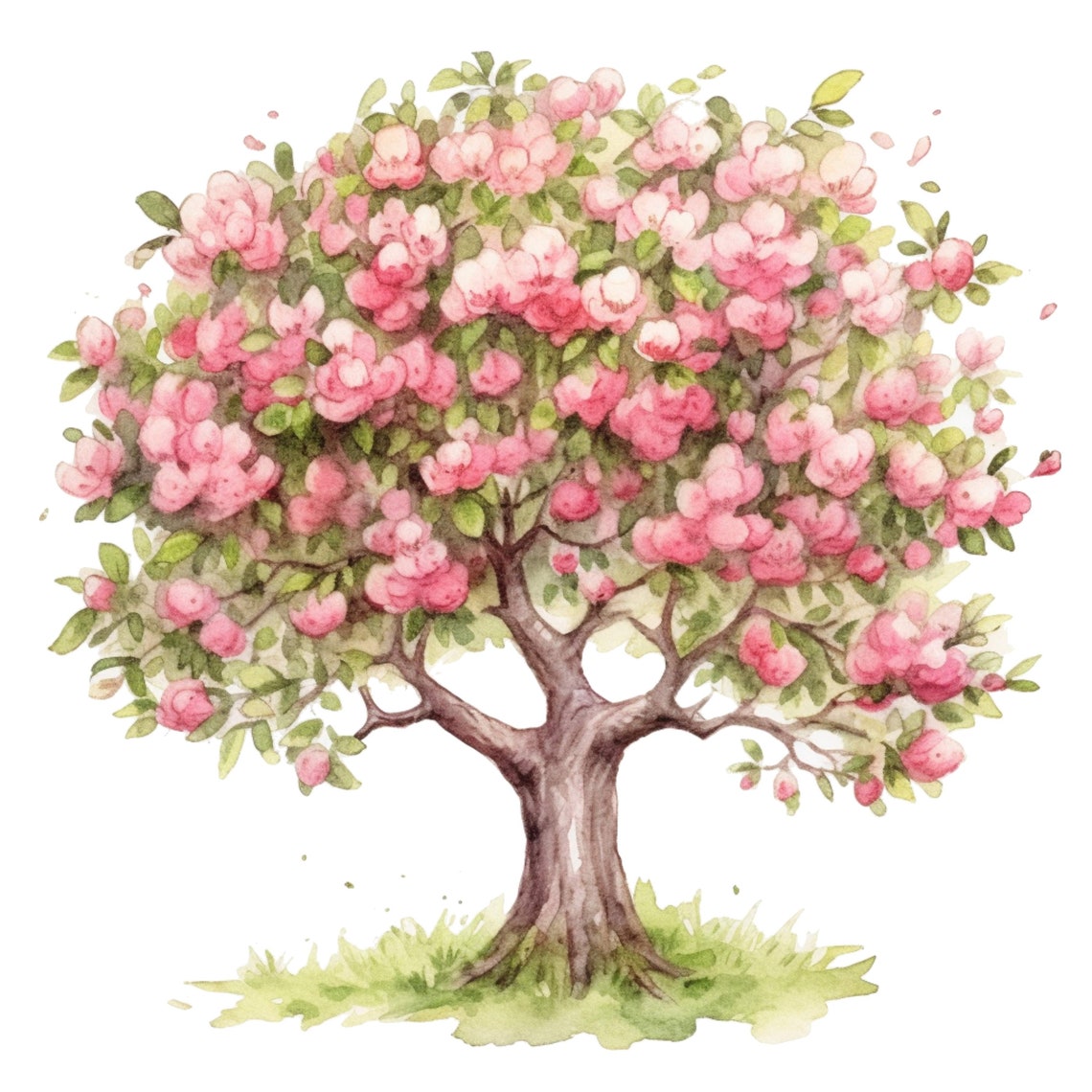 Crabapple Tree Watercolor Clip Art 4 High Quality PNG Transparent ...