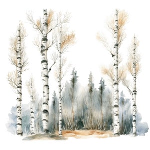 Birch Tree Watercolor Clip Art 4 High Quality PNG Format Instant ...