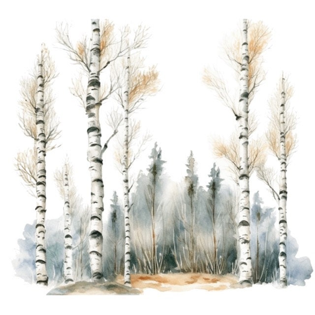 Birch Tree Watercolor Clip Art 4 High Quality PNG Format Instant ...