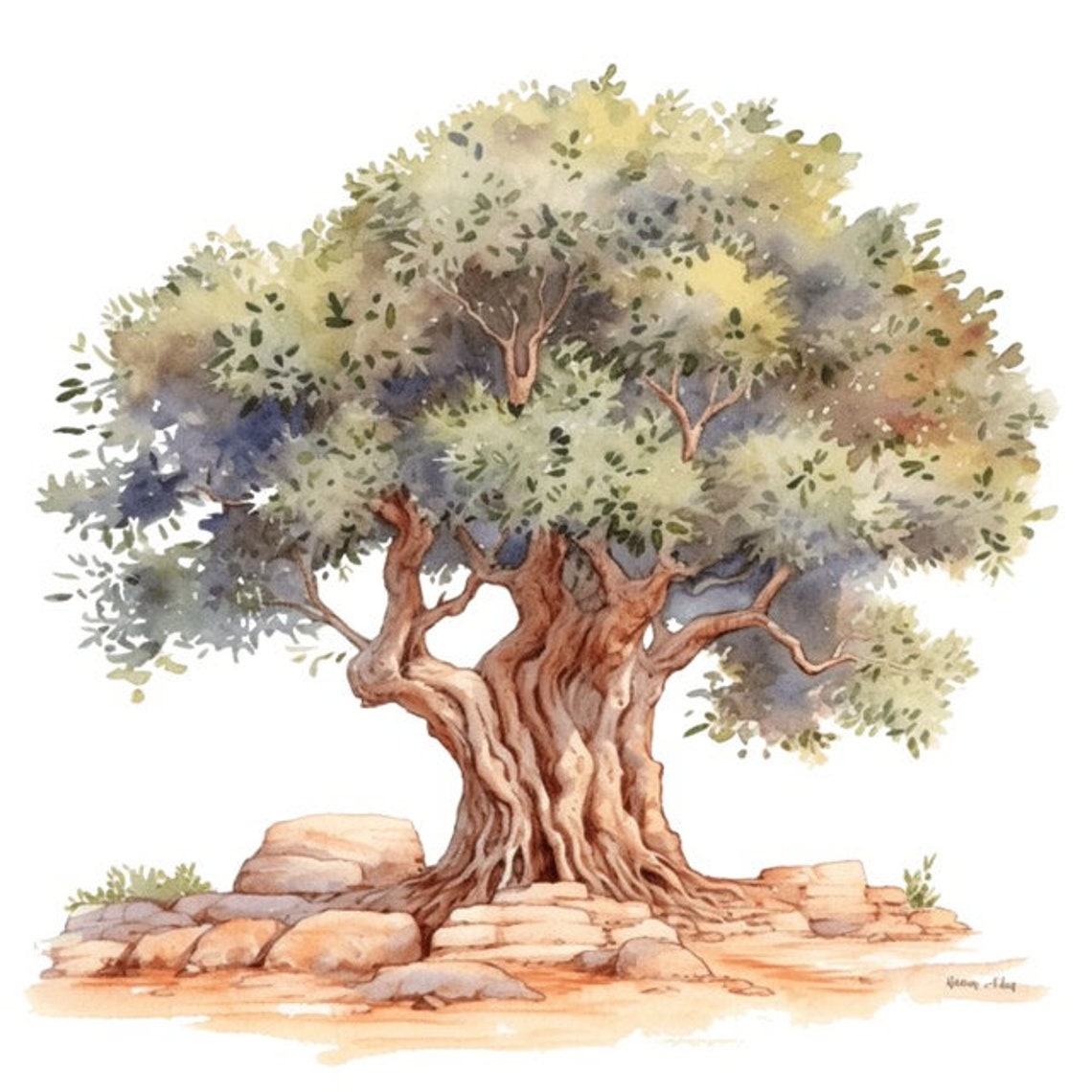 Argan Tree Watercolor Clip Art 4 Transparent PNG Collage Paper - Etsy