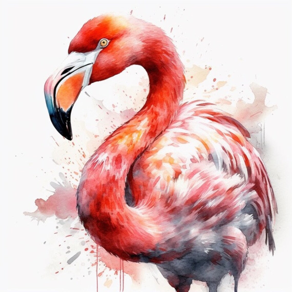 Flamingo Bird Clipart Clip Art 4 PNG Format Files Instant - Etsy