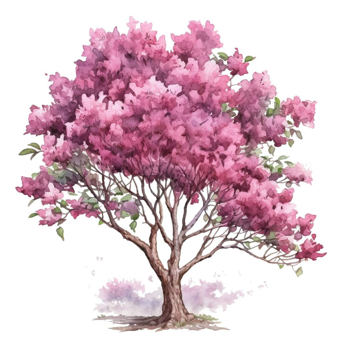 Dark Pink Crape Myrtle Tree Watercolor Clip Art 4 High Quality PNG ...