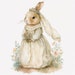Bunny Rabbit Bride Wedding Clipart 8 High Quality JPG Digital Download ...