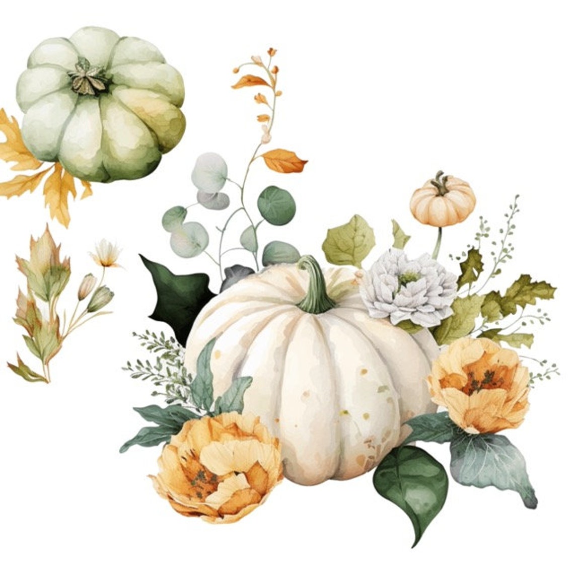 Watercolor Fall Halloween Thanksgiving Pumpkin Clip Art 4 PNG ...