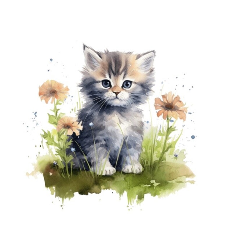 Kitten Cat Kitty Watercolor Clip Art 4 High Quality PNG Format Instant ...