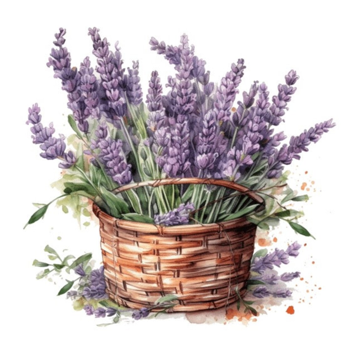 Lavender Flower Floral Watercolor Clip Art Sublimation Graphics 4 PNG ...
