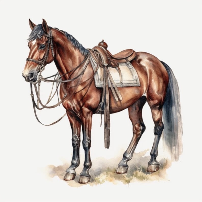 Horse Horses Clipart Clip Art 8 PNG Format Instant Download - Etsy