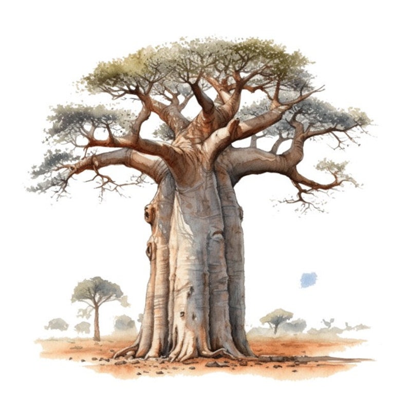 Baobab Tree Watercolor Clip Art 4 PNG Format Junk Journal Collage Mix Media Paper Craft Scrap ...
