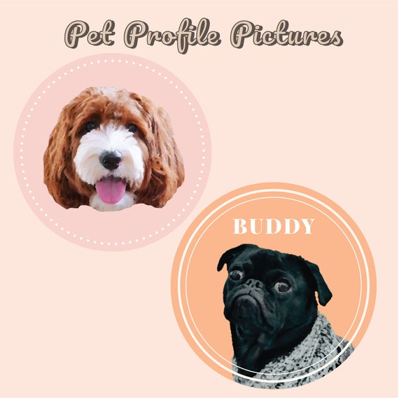 Pet Supplies Pet Portraits Pet Profile Picture Custom Digital Pet ...