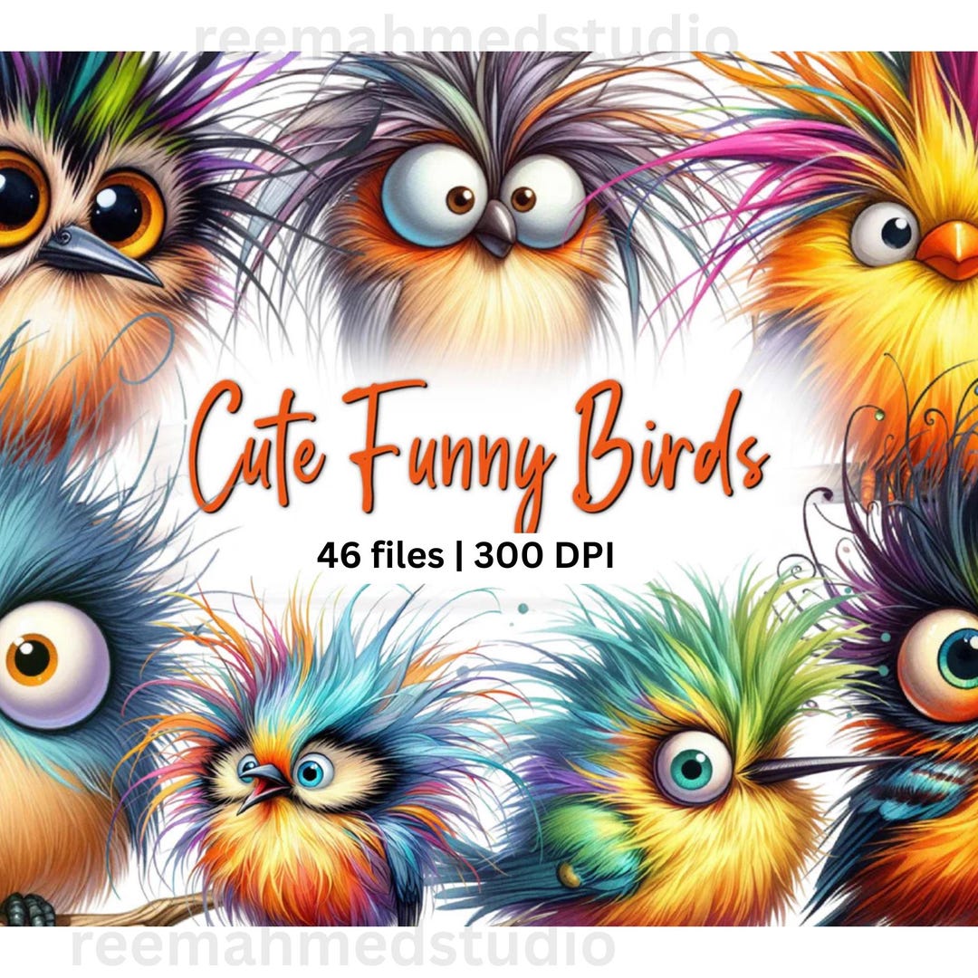 Funny Birds Clipart Bundle: Whimsical Pngs for Crafts & Stickers - Etsy