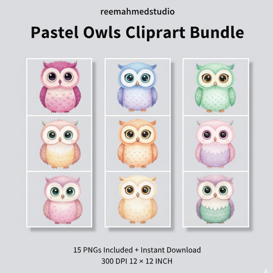 Pastel Owls Clipart Bundle | 15 PNG Files for Crafts, Scrapbooking ...