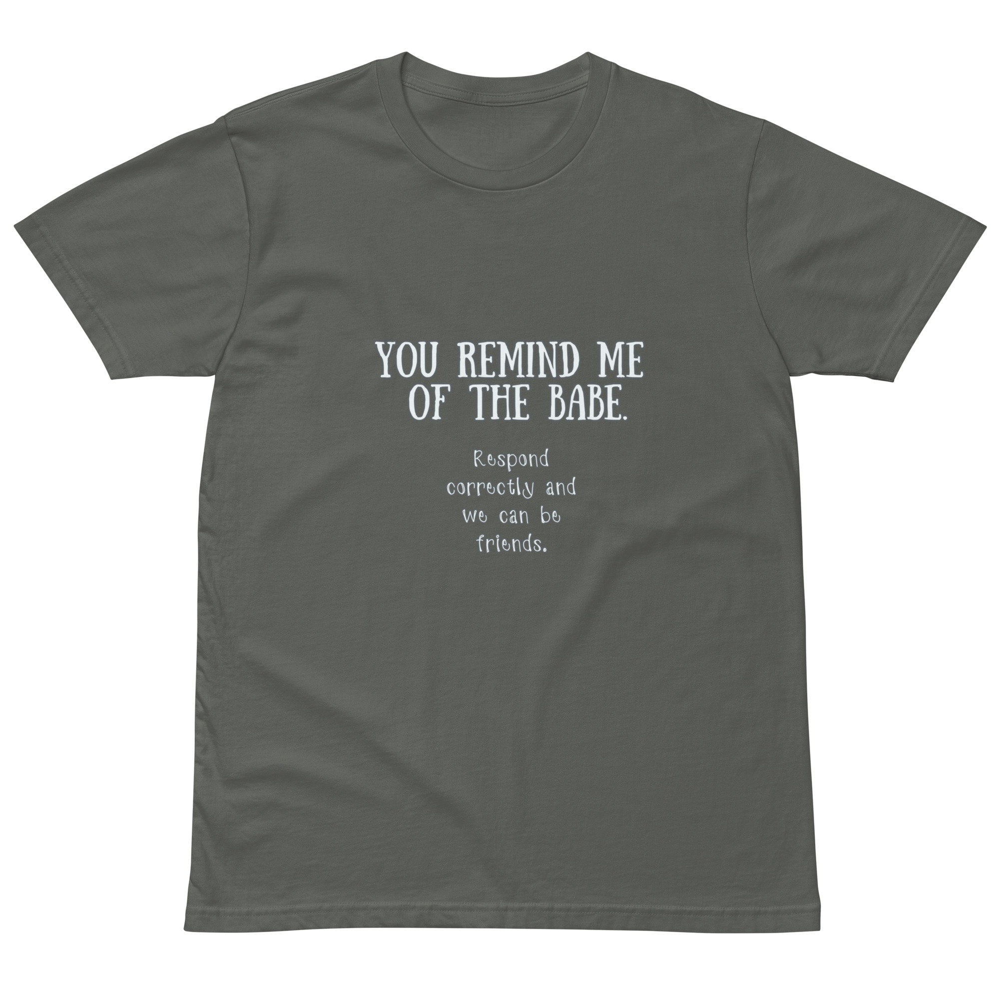You Remind Me of the Babe Answer Correctly and We Can Be Friends Tee ...