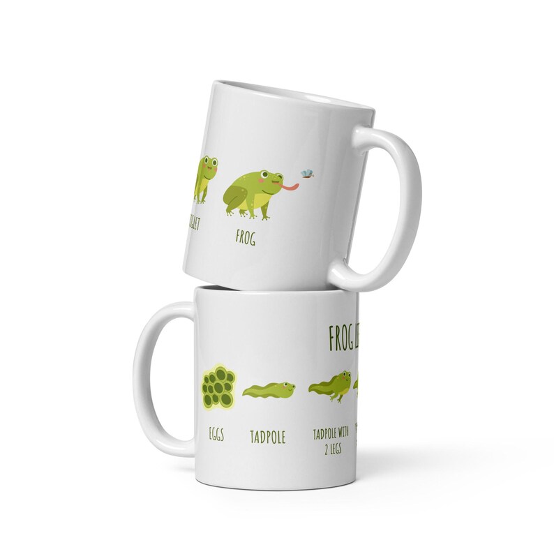 Frog Life Cycle Ceramic Mug - Science Theme for Teachers Biologists - 3 ...
