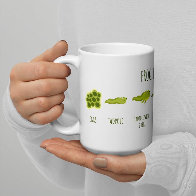 Frog Life Cycle Ceramic Mug - Science Theme for Teachers Biologists - 3 ...