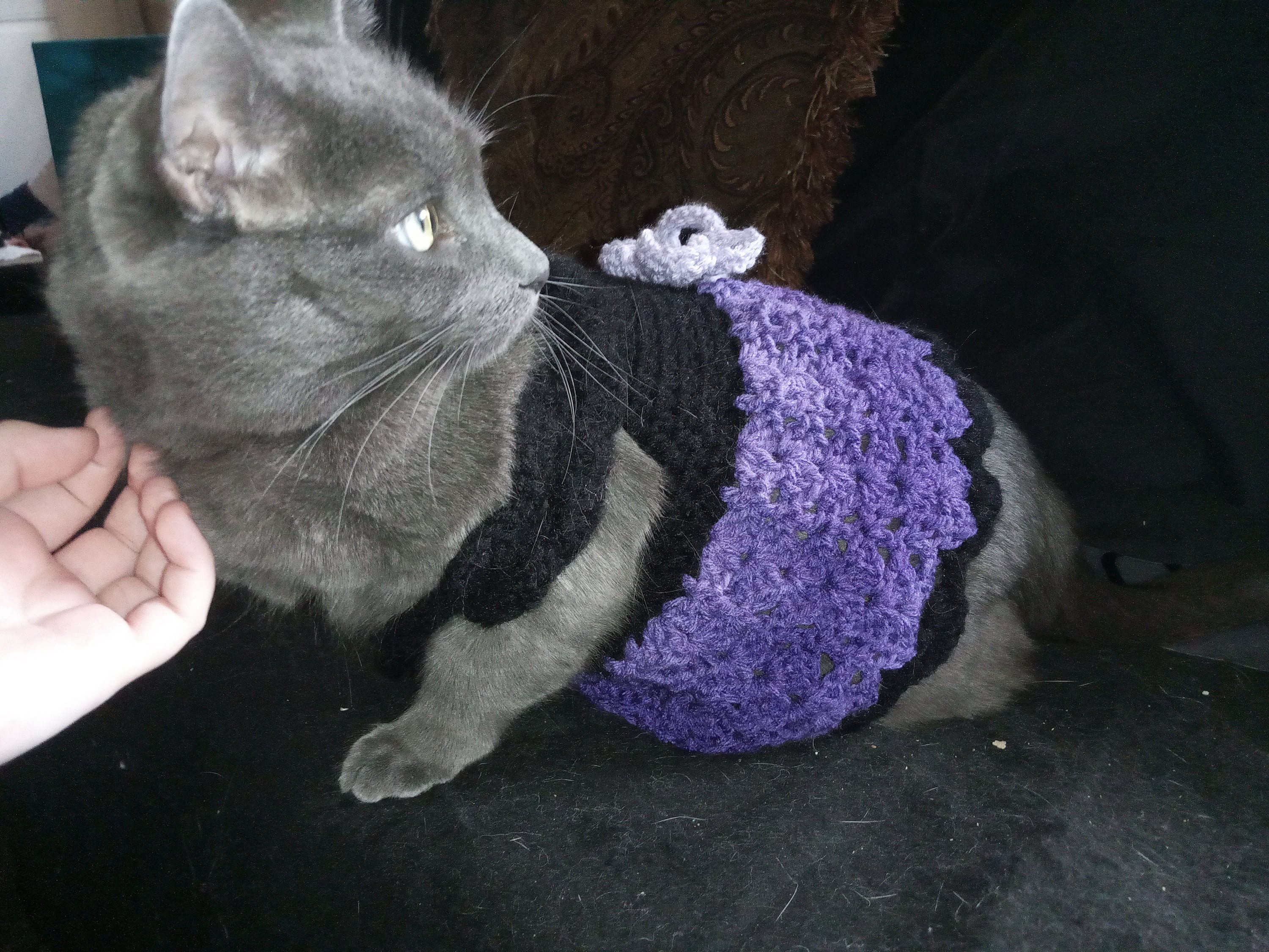 Crocheted Cat Dress - Etsy