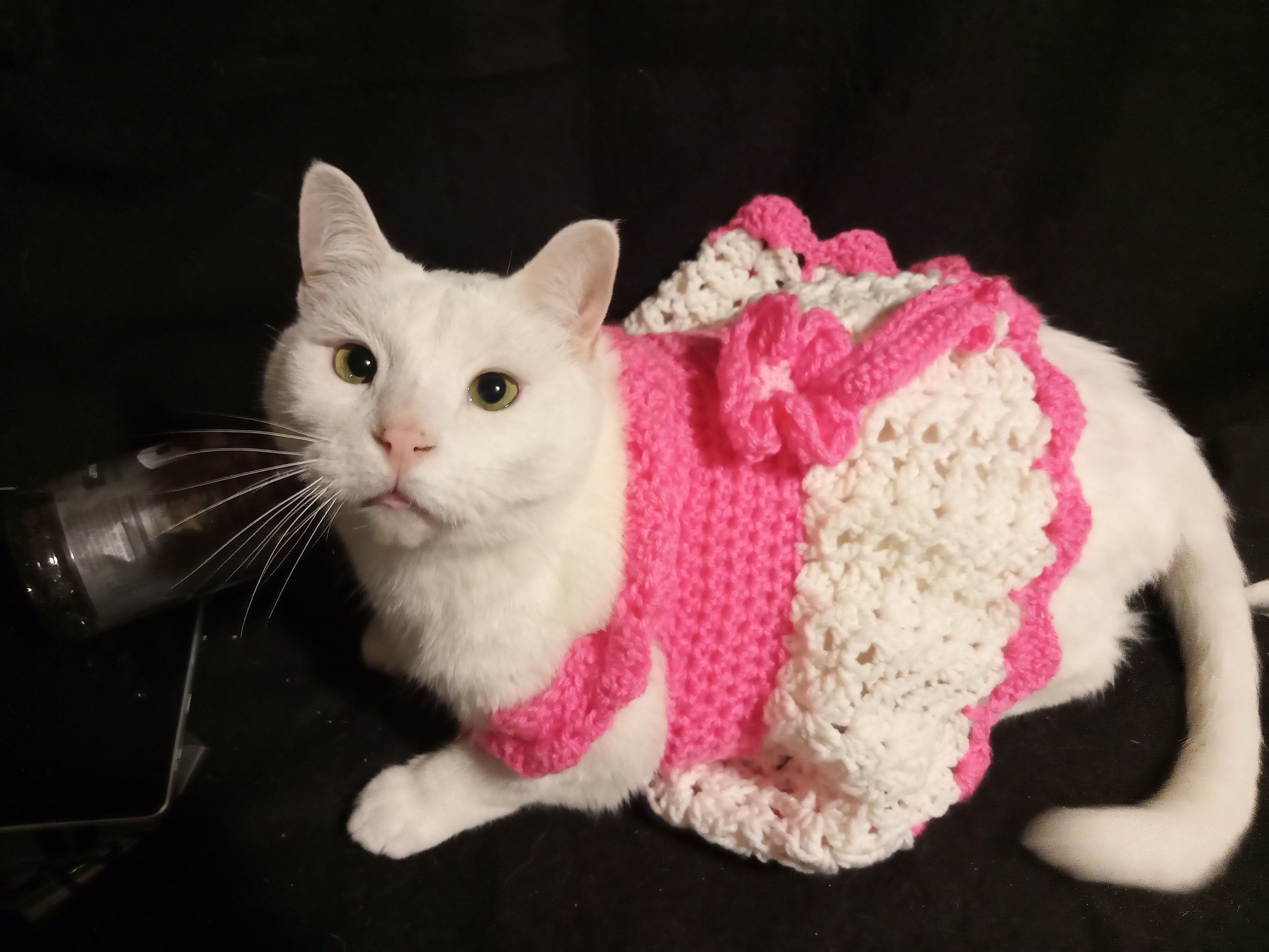 Crocheted Cat Dress - Etsy