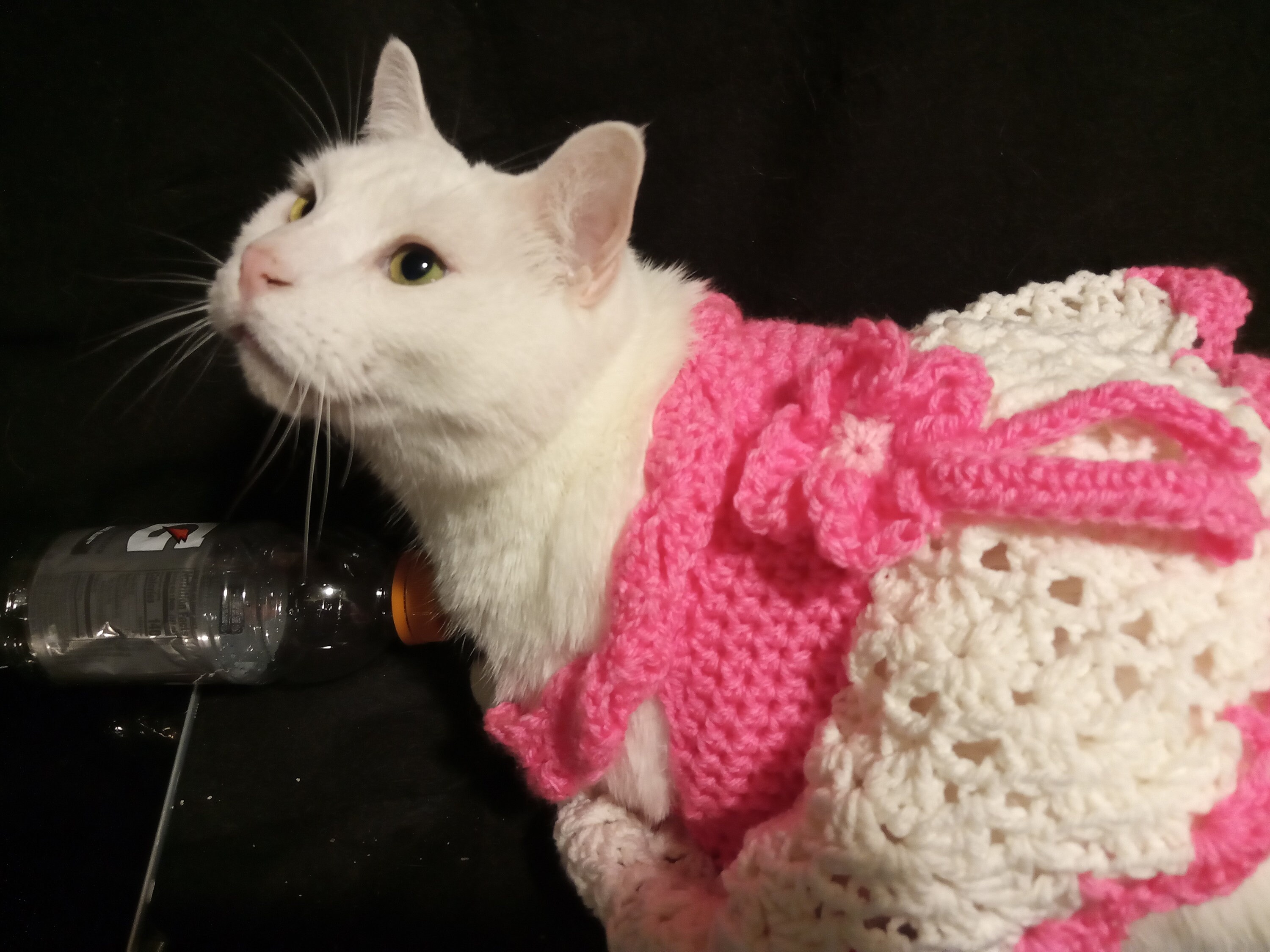 Crocheted Cat Dress - Etsy