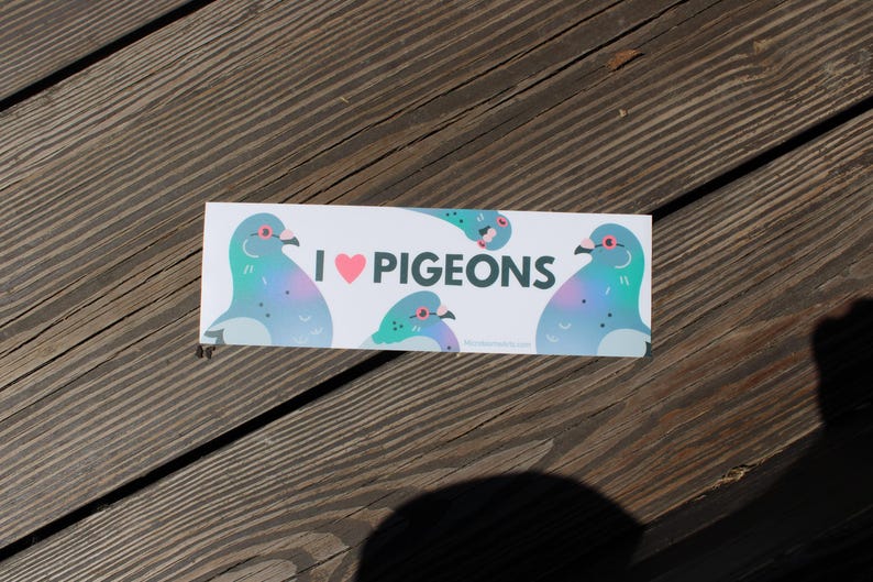 I Love Pigeons Bumper Sticker | Bird City Nyc Chicago Funny Bumper ...