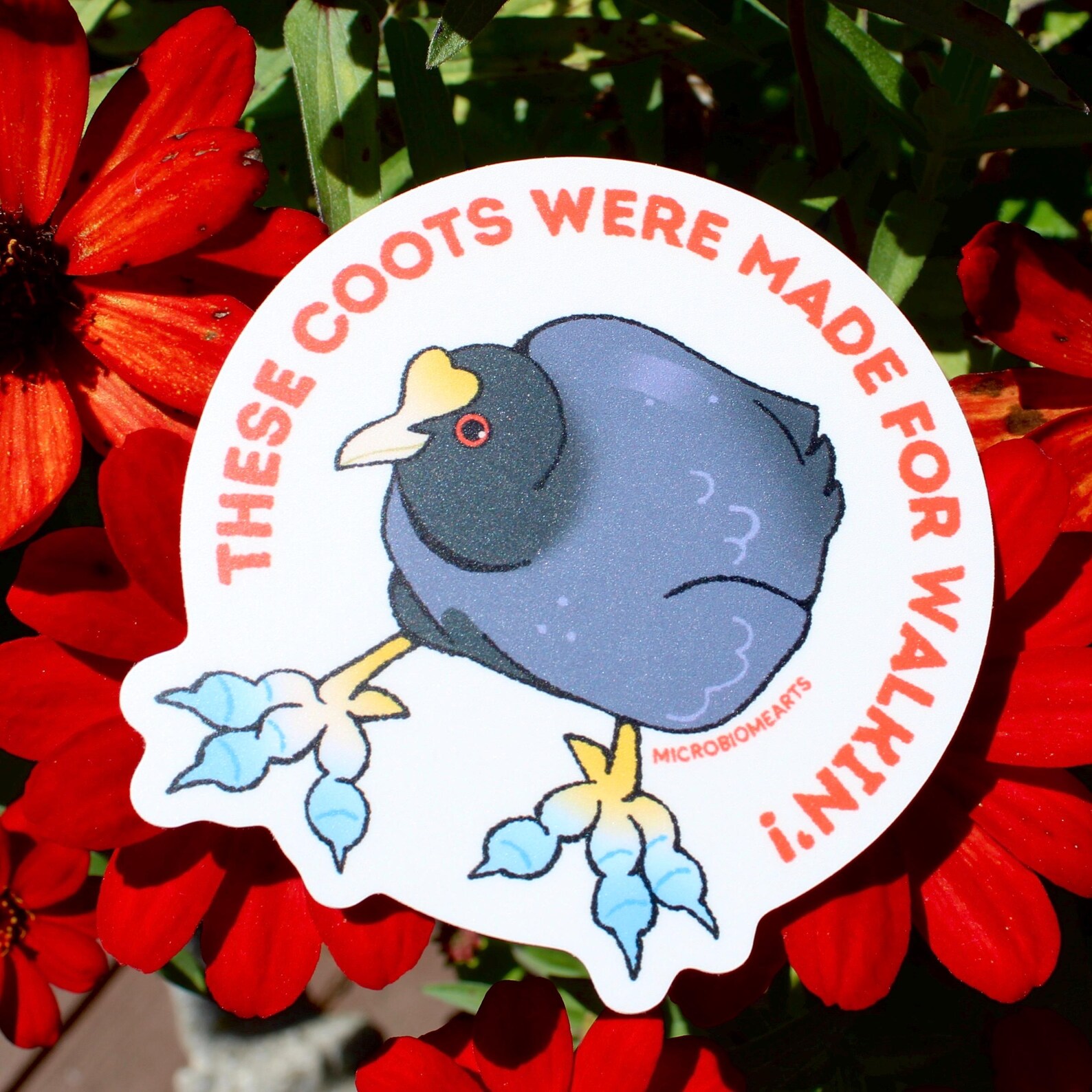 Coot Feet Sticker | Birding Waterfowl Animal Pun Funny Gift - Etsy