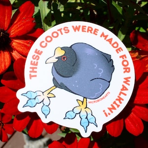Coot Feet Sticker | Birding Waterfowl Animal Pun Funny Gift - Etsy
