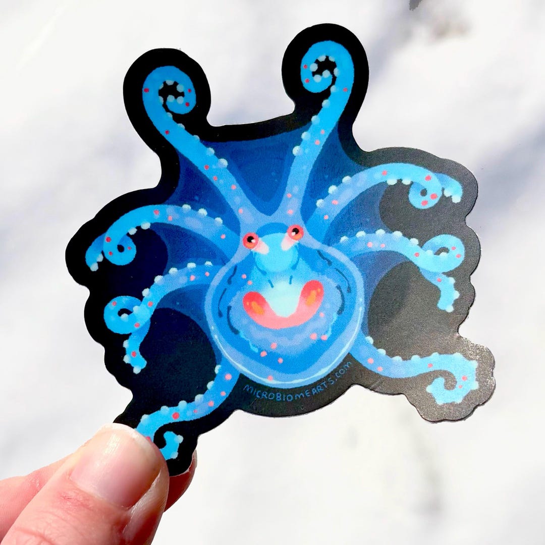 Telescope Octopus Sticker | Cephalopod Marine Biology Deep Sea Mollusk ...