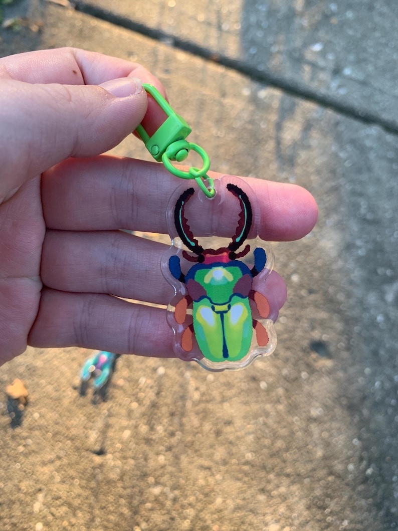 Sawtooth Stag Beetle Acrylic Keychain | Bug Entomology Insect Lover ...