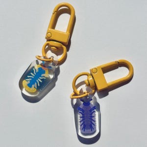 Gacha Mini MYSTERY Isopods Acrylic Charms | Cute Bug Insect Rubber ...