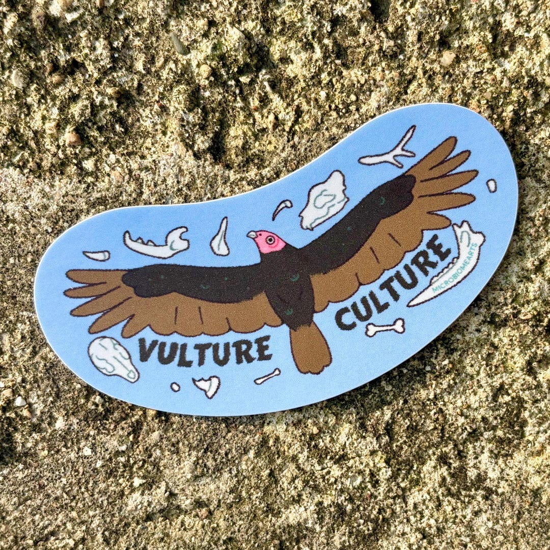 Vulture Culture Sticker | Oddities Bird Turkey Vulture Gift - Etsy