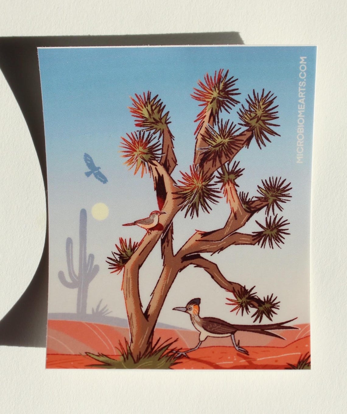 Joshua Tree Sticker | Bird Roadrunner Cactus Desert Animal Gift - Etsy