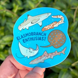 Elasmobranch Enthusiast Sticker | Shark Stingrays Ocean Lover Marine ...