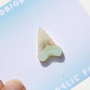 Mini Shark Tooth Acrylic Pin | Shark Fossil Beachcombing Marine ...