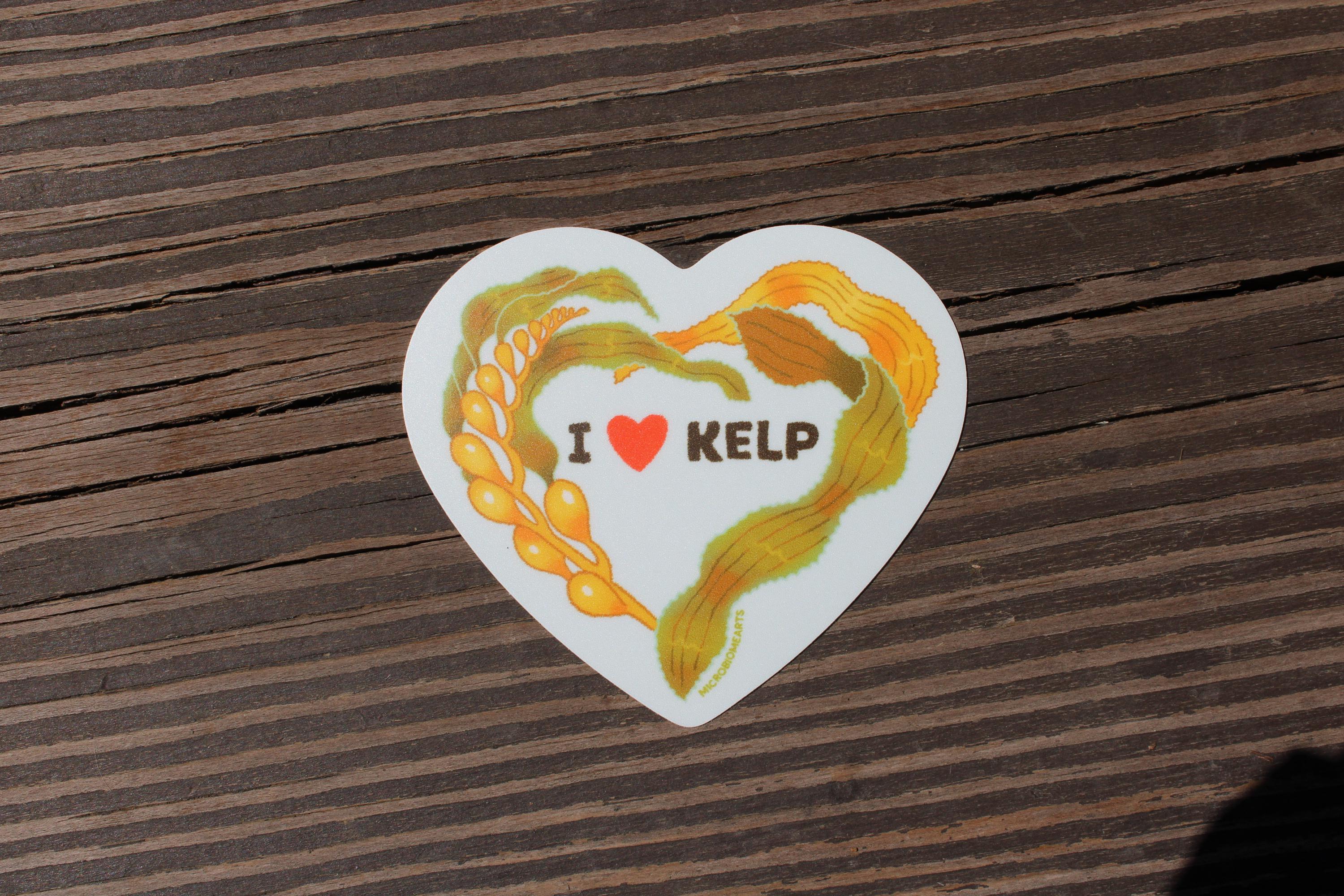 I Love Kelp Sticker | Kelp Forest Algae Marine Biologist Funny Gift - Etsy