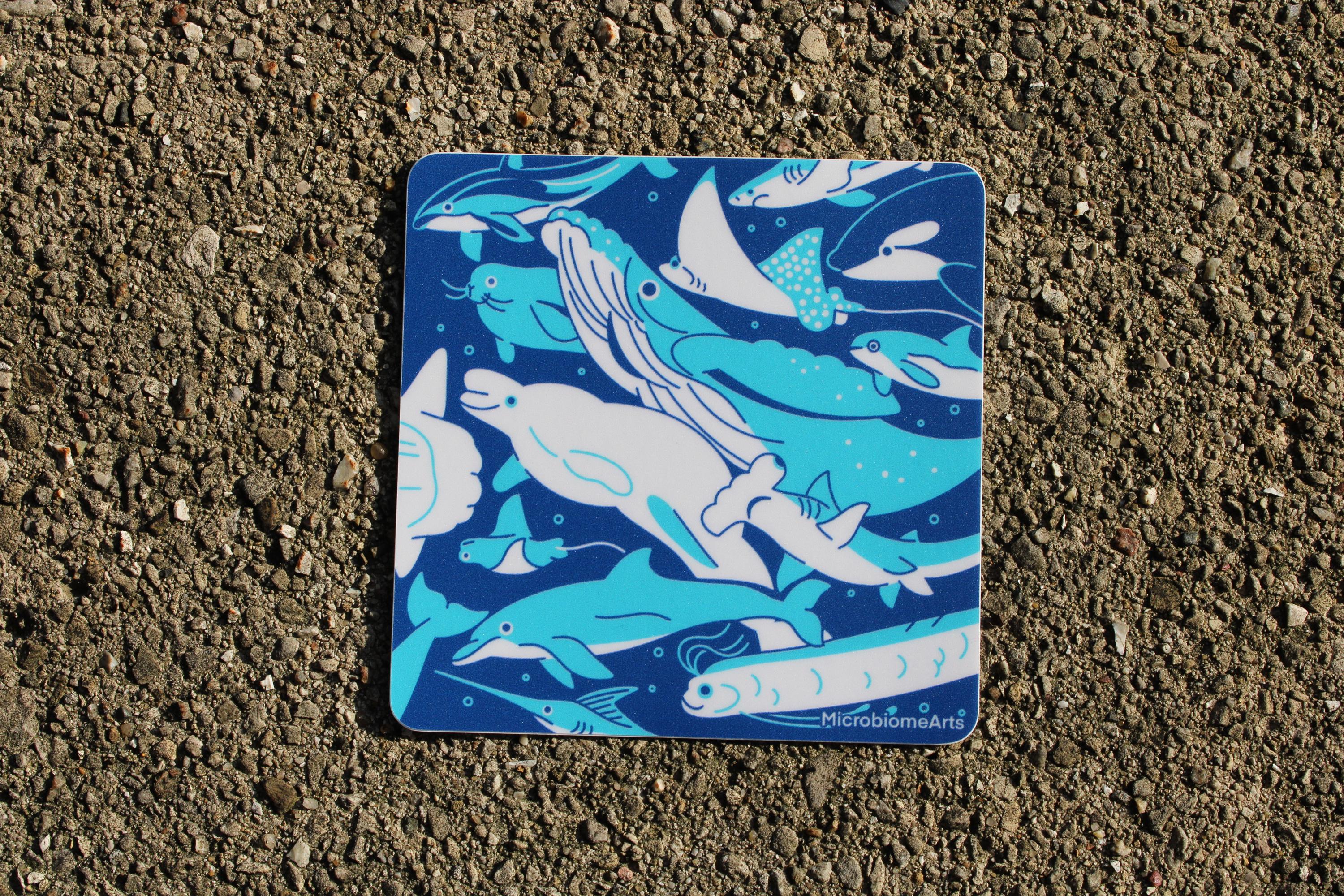 Big Fish* Sticker | Shark Stingrays Whale Marine Mammals Ocean Lover ...