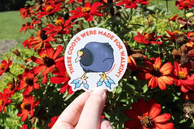 Coot Feet Sticker | Birding Waterfowl Animal Pun Funny Gift - Etsy