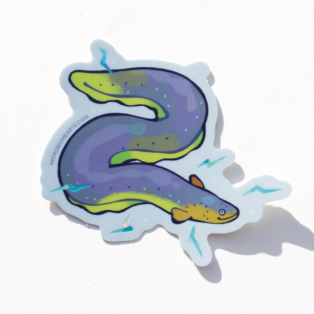 Electric Eel Holo Vinyl Sticker | Fish Marine Biologist Science Gift - Etsy