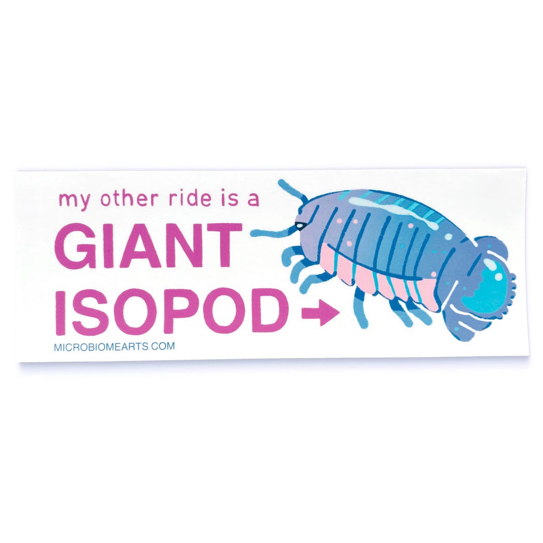 My Other Ride is A Giant Isopod Bumper Sticker | Funny Marine Biology ...