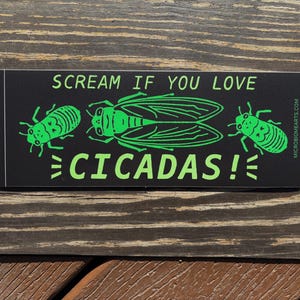 Scream If You Love Cicadas Bumper Sticker | Insect Bug Periodical Cicada Funny Entomologist Gift ...