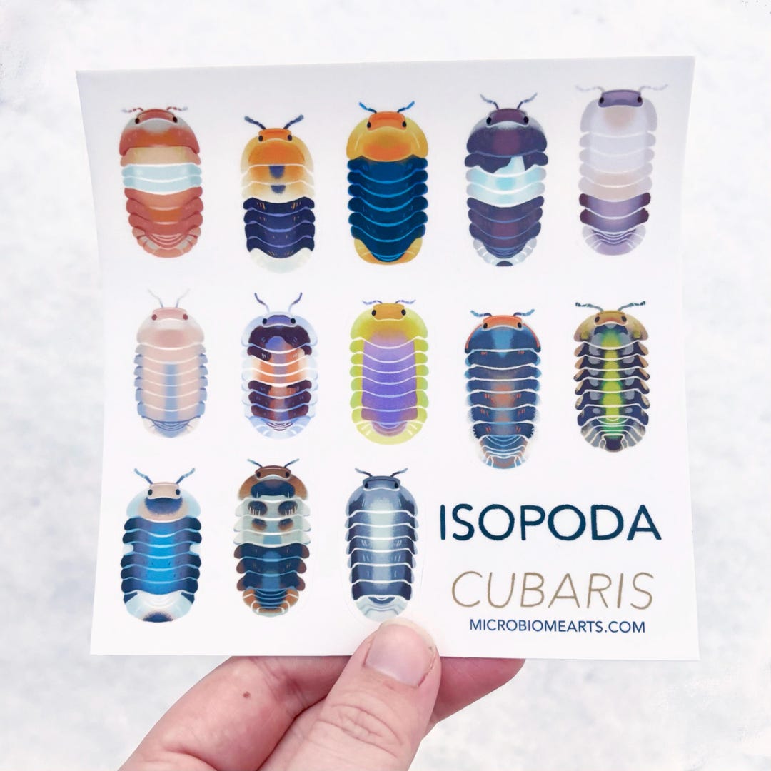 Cubaris Isopod Sticker Sheet | Rubber Ducky Panda King Designer Isopods ...