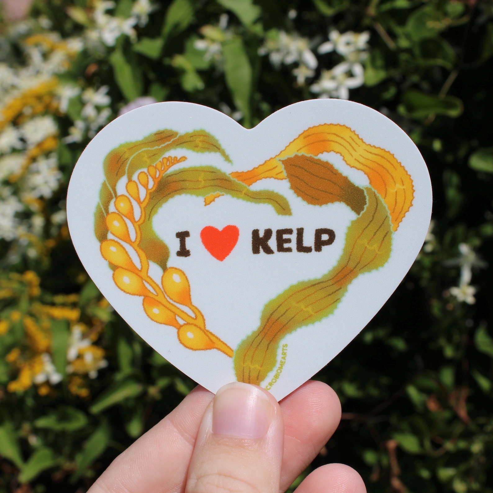 I Love Kelp Sticker | Kelp Forest Algae Marine Biologist Funny Gift - Etsy