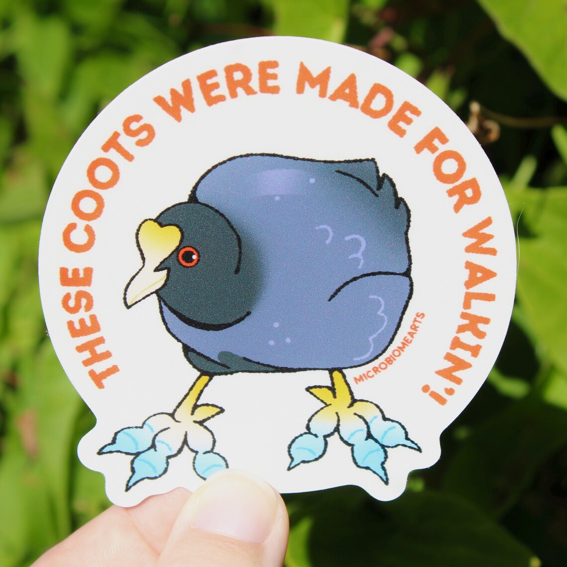 Coot Feet Sticker | Birding Waterfowl Animal Pun Funny Gift - Etsy