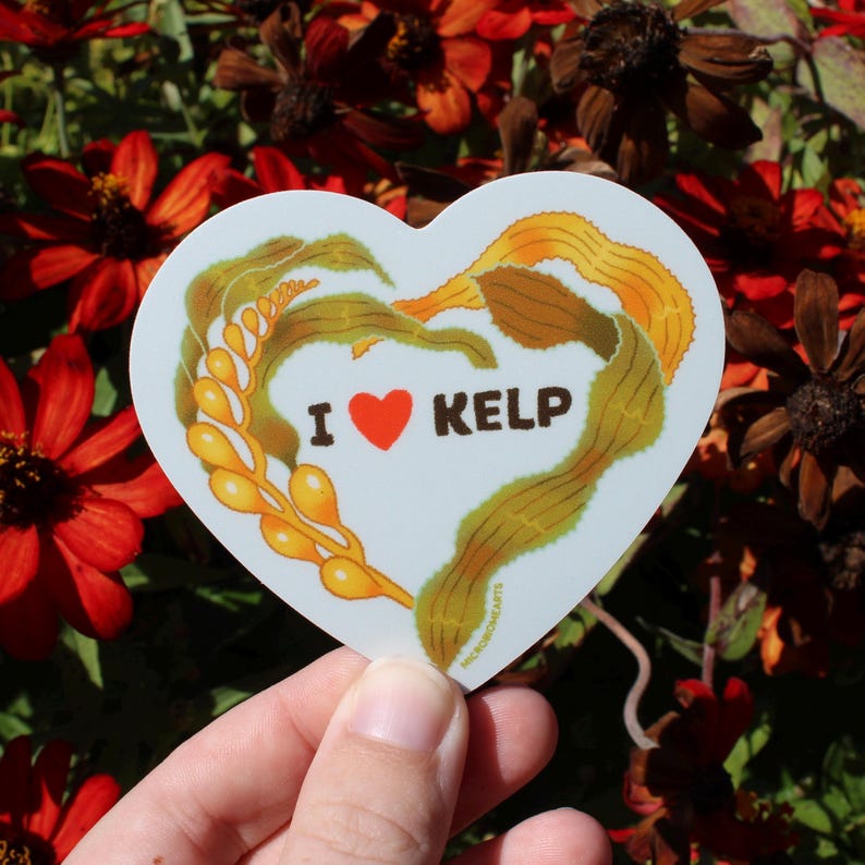 I Love Kelp Sticker | Kelp Forest Algae Marine Biologist Funny Gift - Etsy