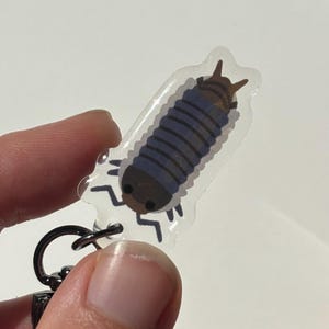 Gacha Mini MYSTERY Isopods Acrylic Charms | Cute Bug Insect Rubber ...